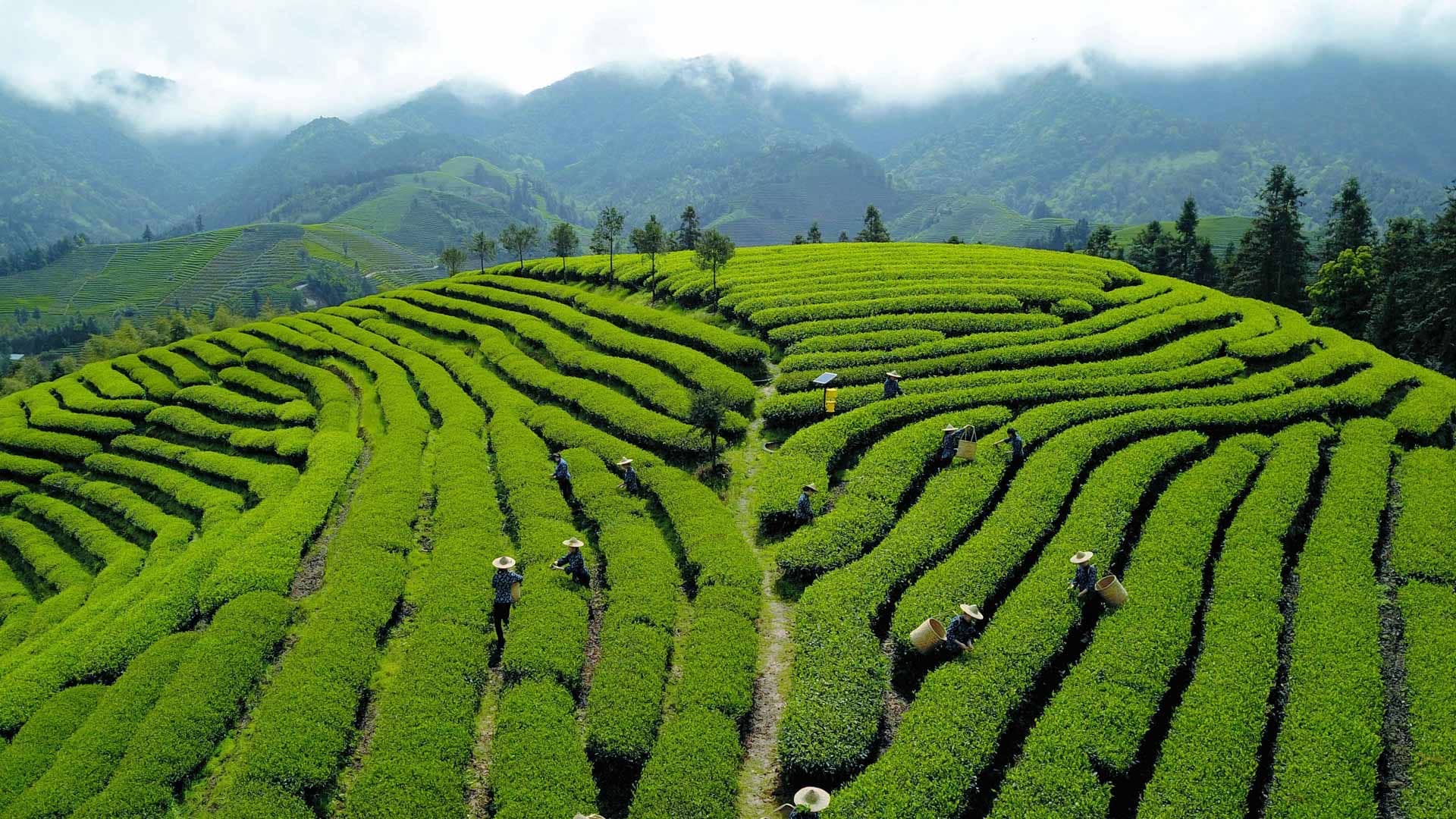 mac高清4K壁纸下载，每一张壁纸都是精心挑选 - macbox.app